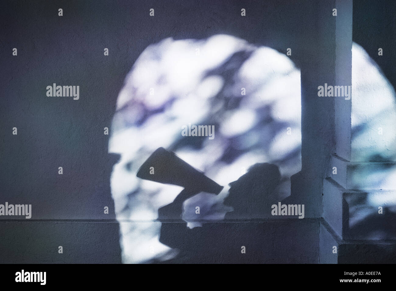 shadow of man with megaphone Stock Photo - Alamy