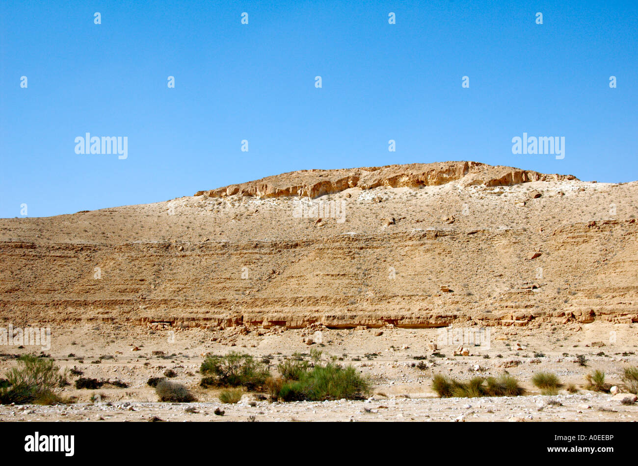 Israel northern plains Negev desert general landscape and view with ...