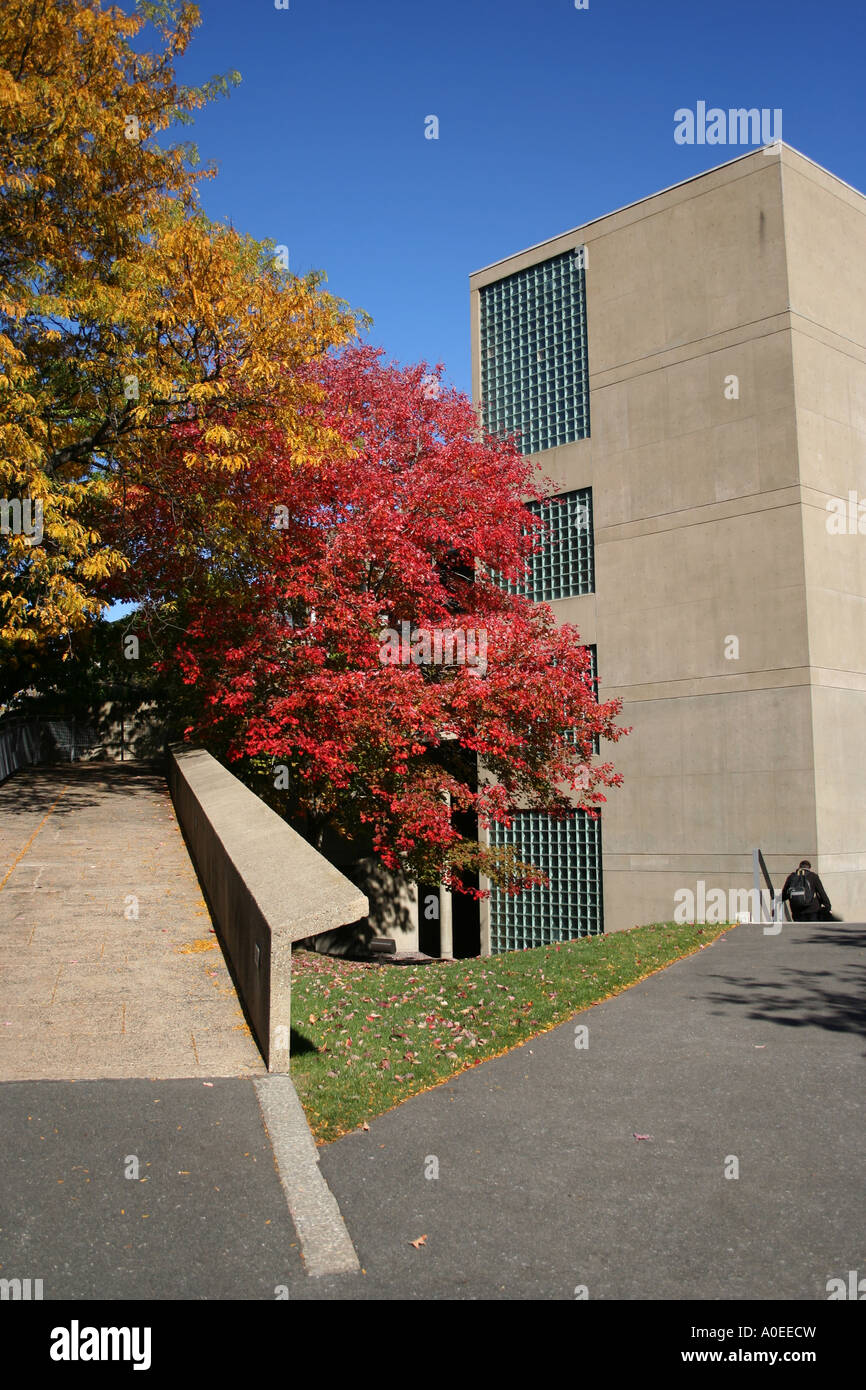 The carpenter center visual arts hi-res stock photography and images ...