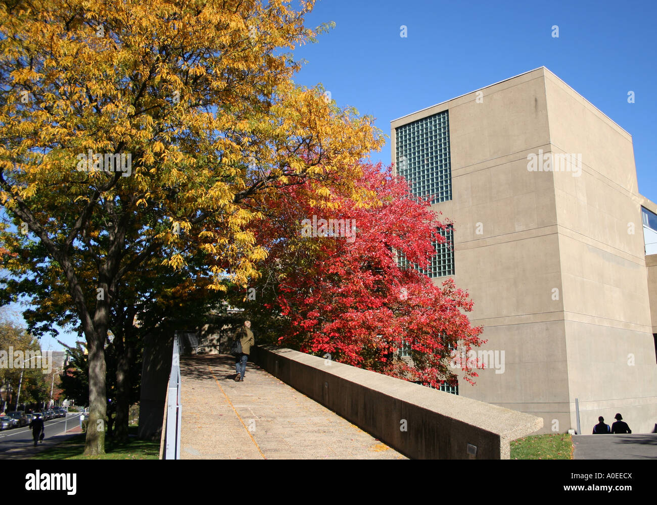Carpenter Center for the Visual Arts with autumn colour Harvard ...