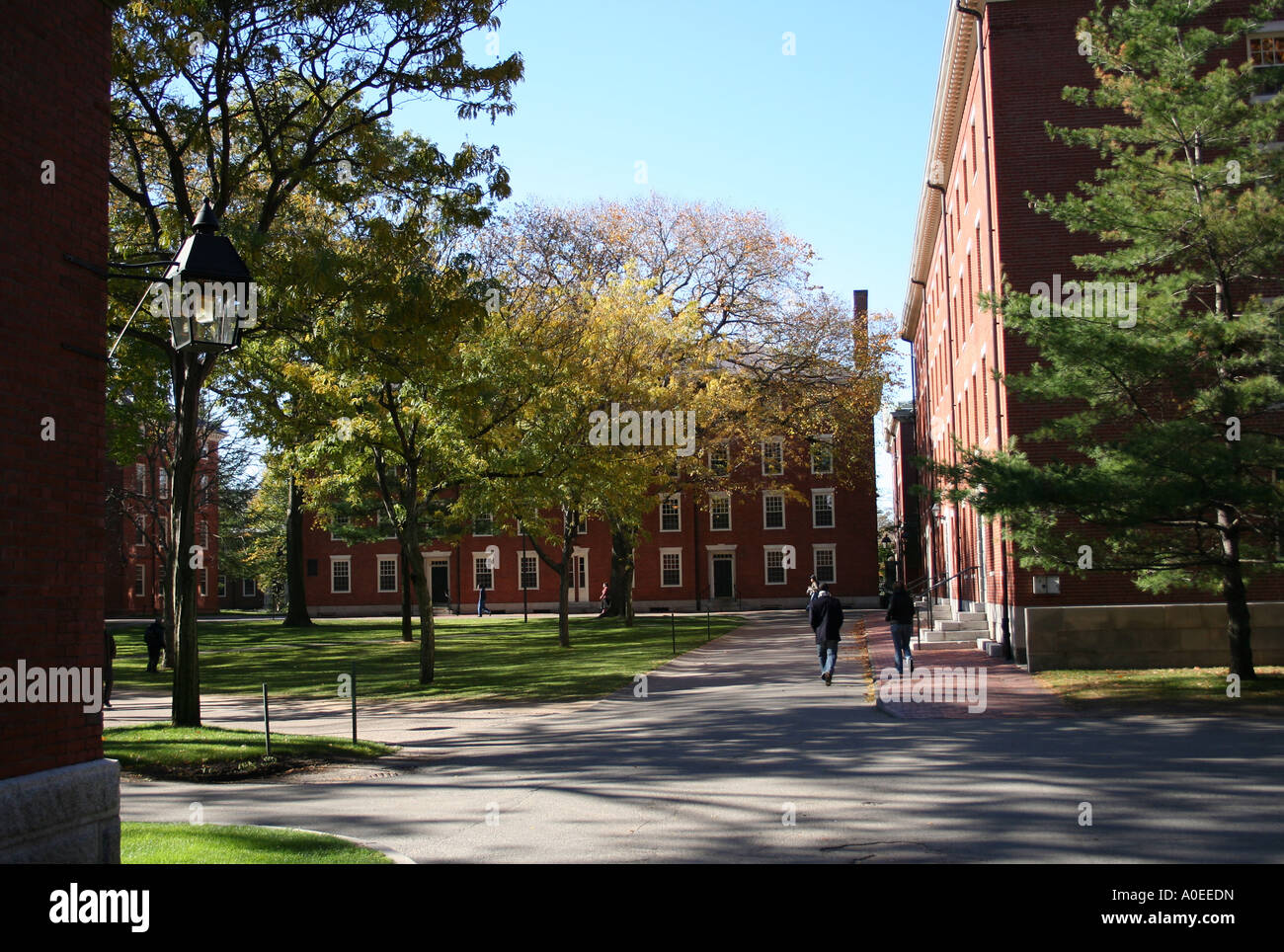 Historic square with trees surrounded by brick building of Harvard ...