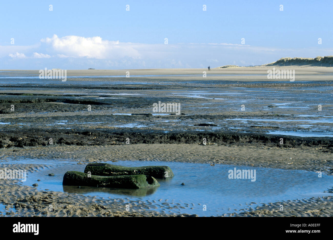 BRONZE AGE POST TIMBER CIRCLE AT HOLME NEXT THE SEA NORTH NORFOLK ...