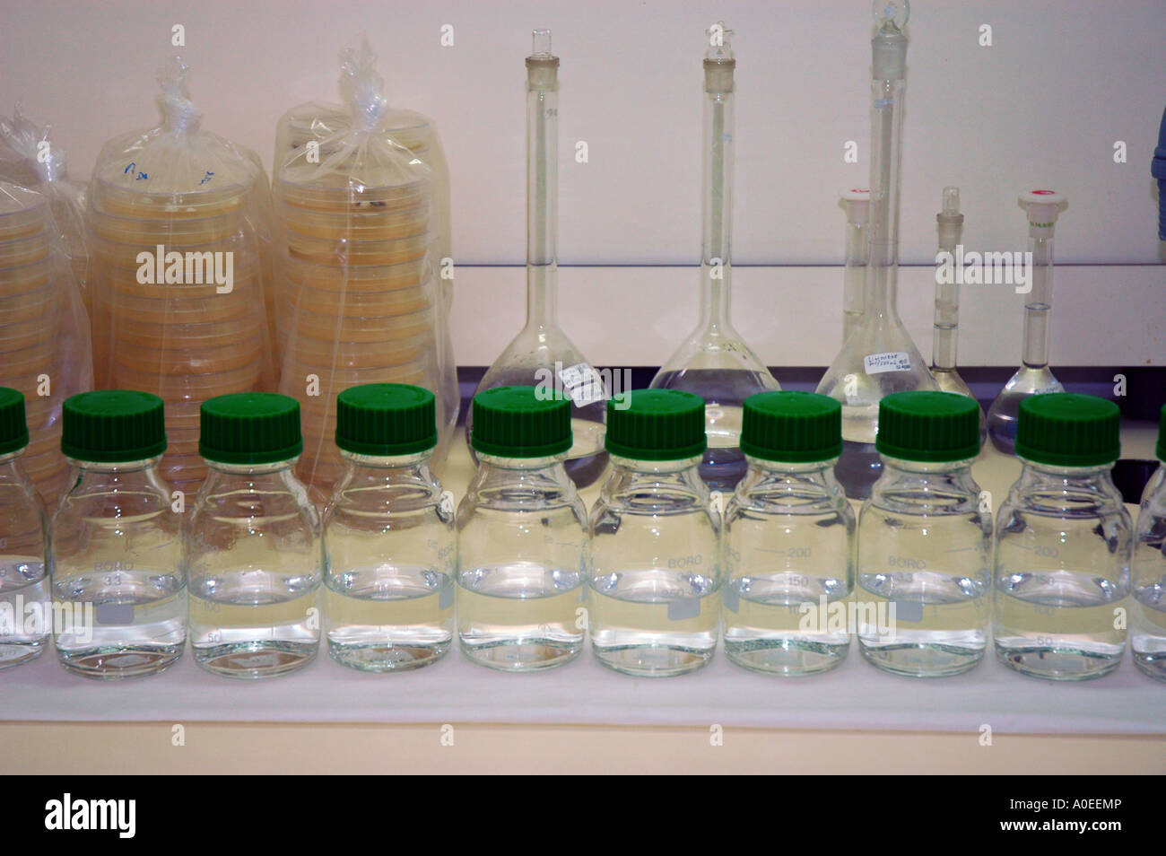 test tubes on a work table in a Science Lab Stock Photo - Alamy