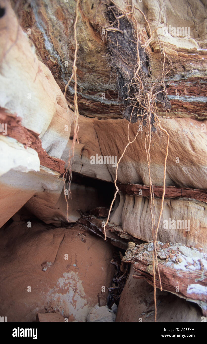 The numerous layers of the sandstone cliffs Stock Photo - Alamy