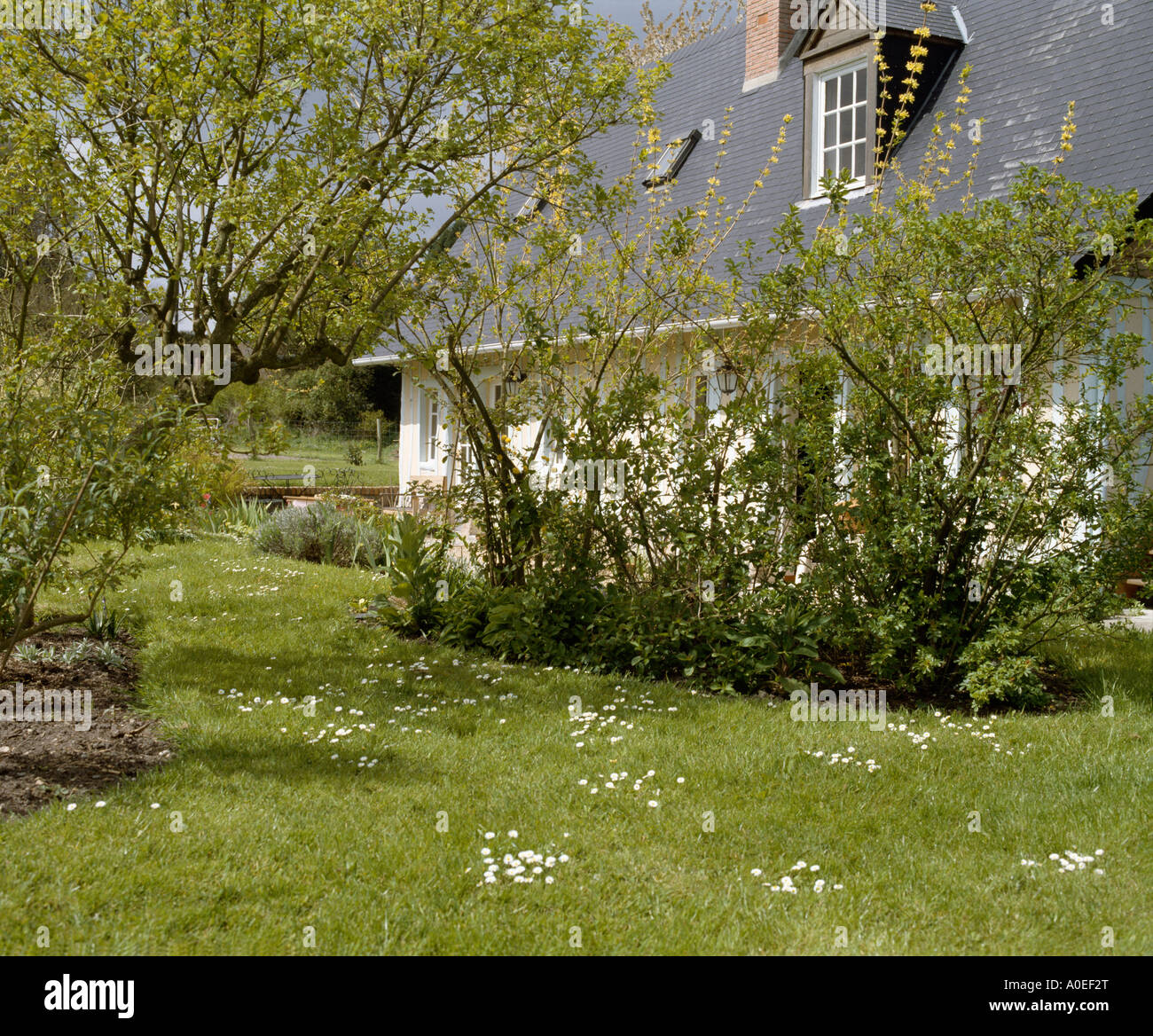 Single-storey traditional French cottage with lawn Stock Photo - Alamy