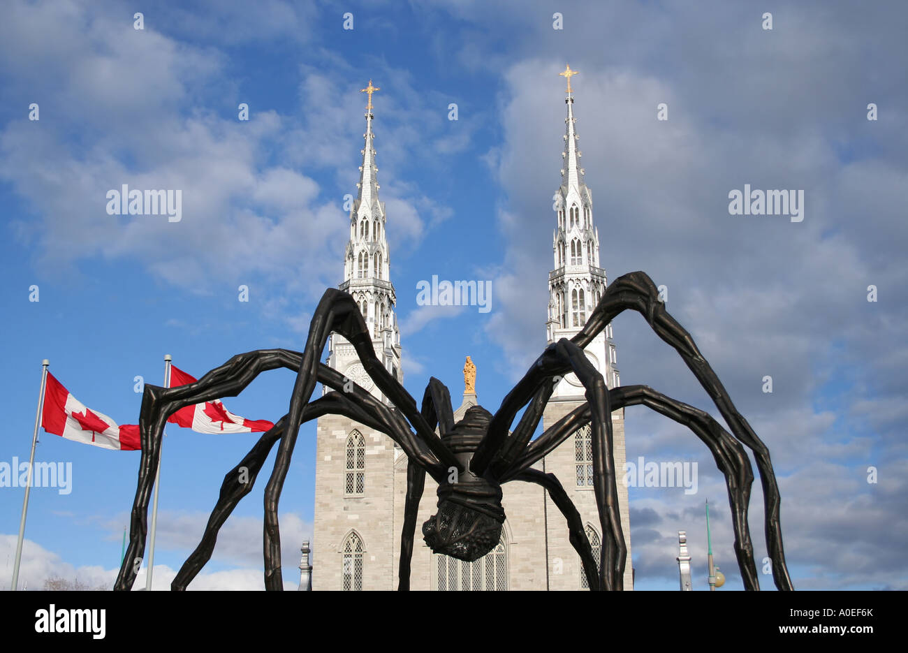 giant spider sculpture outside National Gallery of Canada Ottawa Canada ...