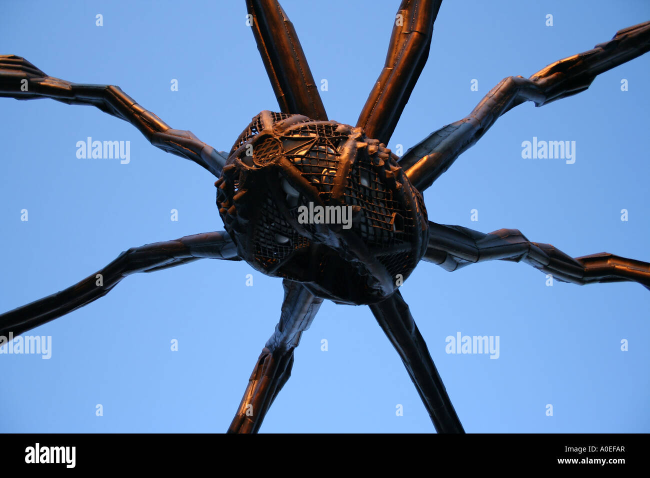underneath giant spider sculpture outside National Gallery of Canada ...