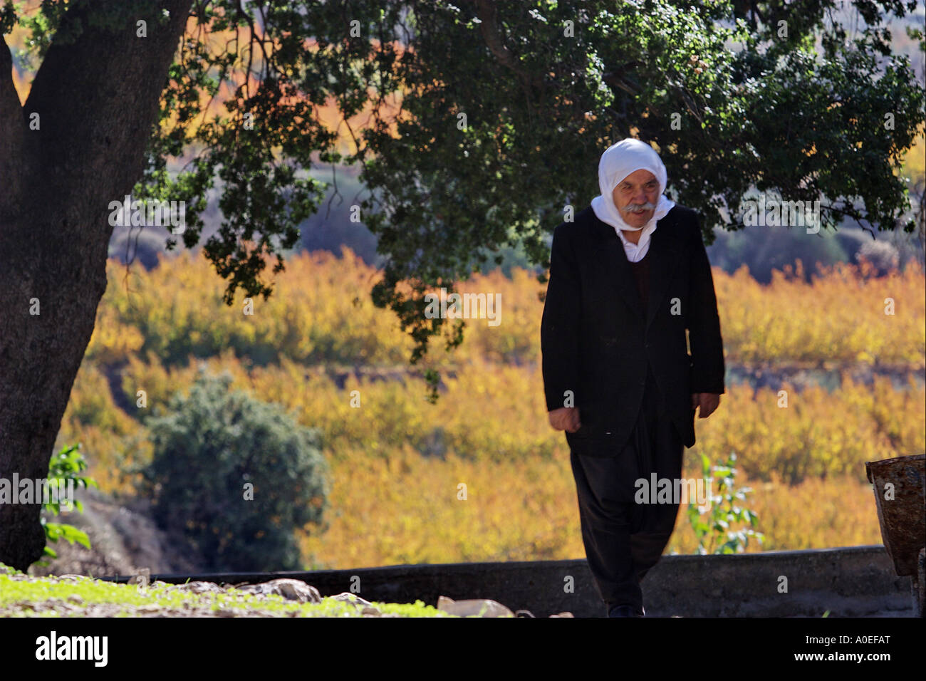 Druze men hi-res stock photography and images - Alamy