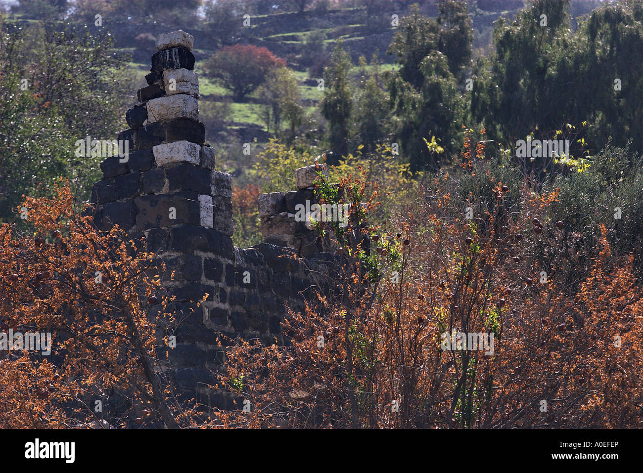 Israel Golan Heights remains of an old Syrian army camp from pre six ...