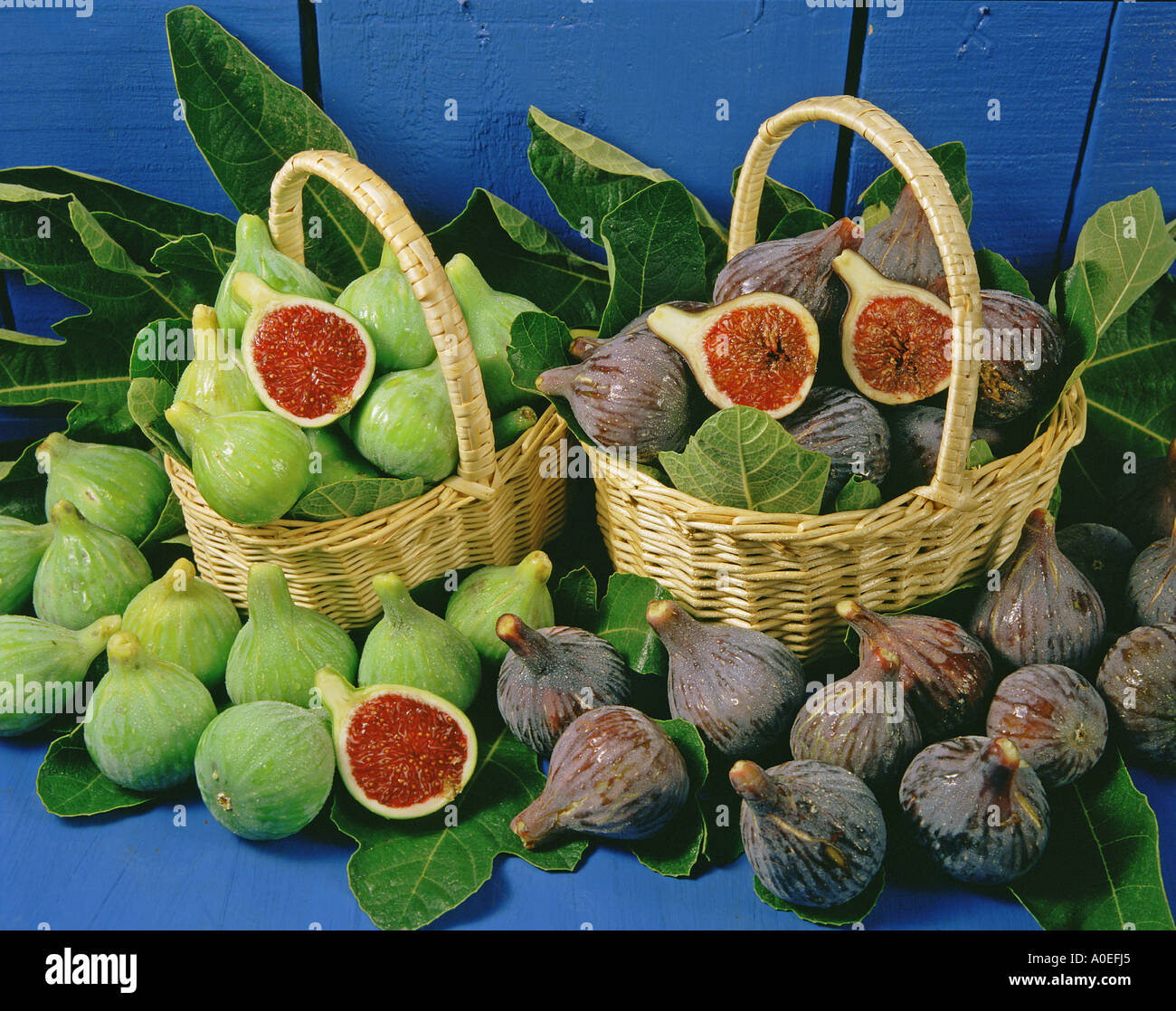 Varied fig hi-res stock photography and images - Alamy