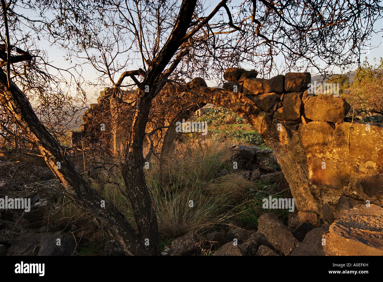 1967 golan heights hi-res stock photography and images - Alamy