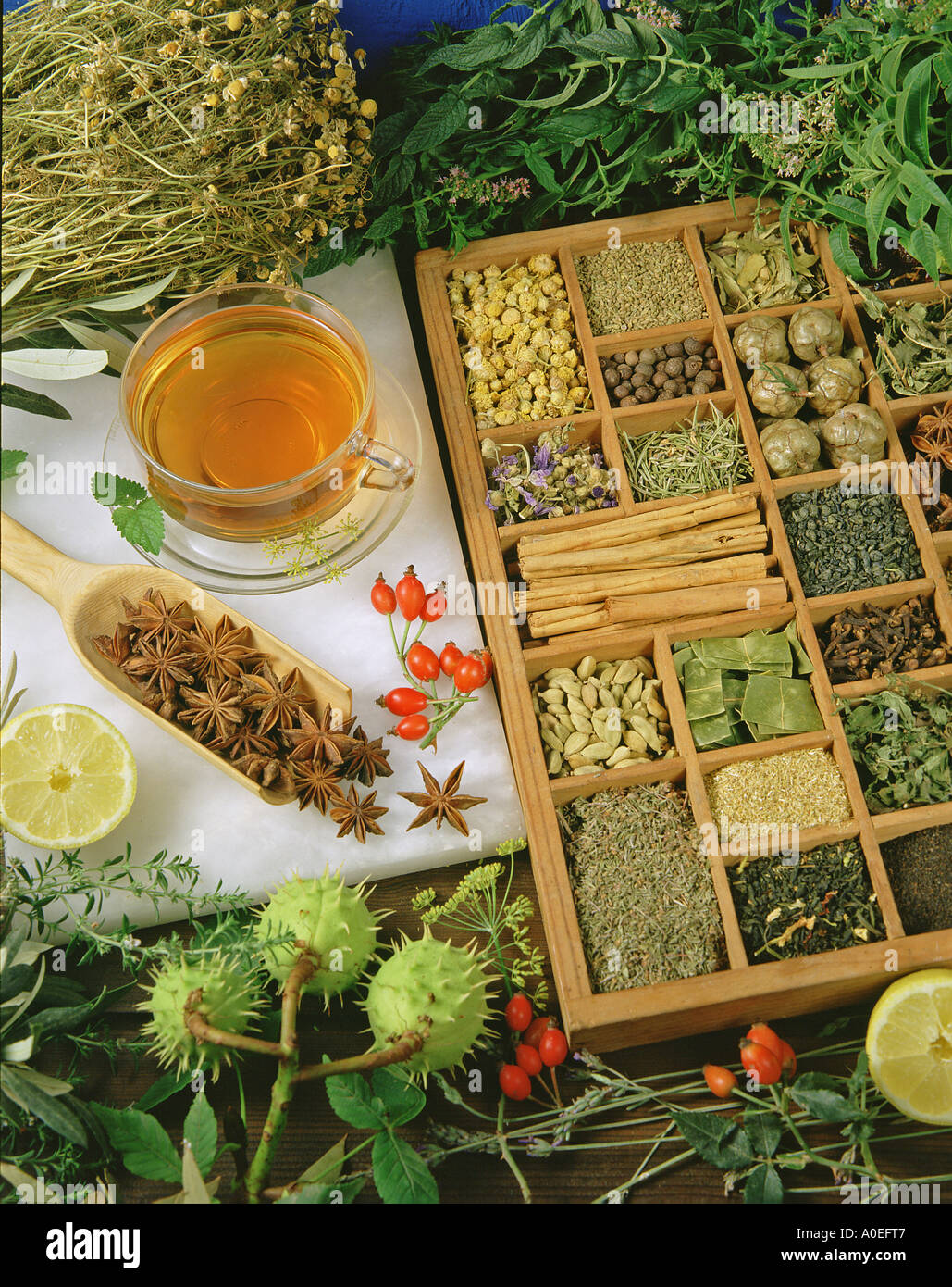 Medicinal plants in wooden box hi-res stock photography and images - Alamy