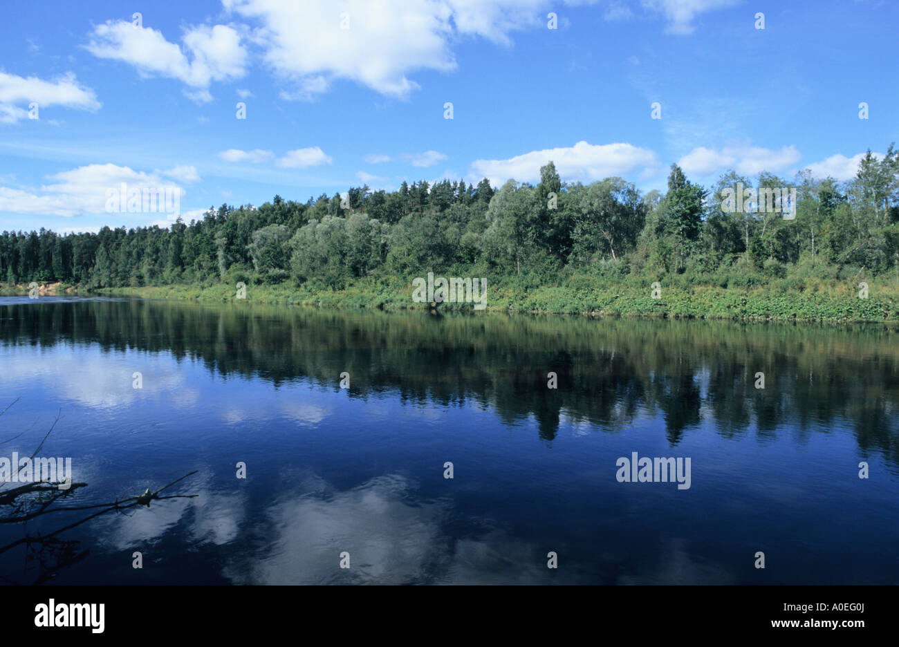 Gauja riverbank hi-res stock photography and images - Alamy