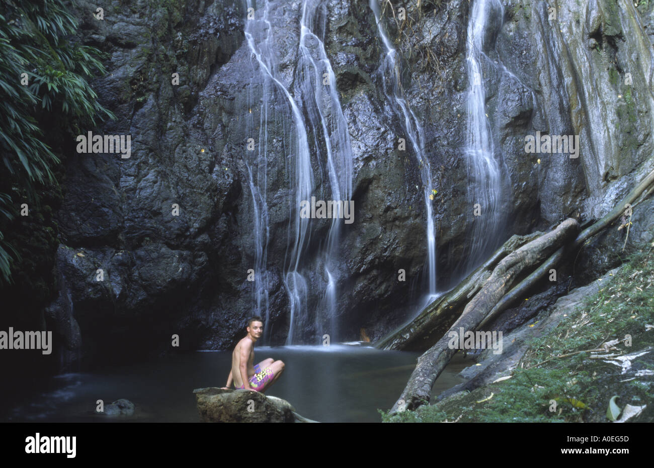Highland rainforests hi-res stock photography and images - Alamy