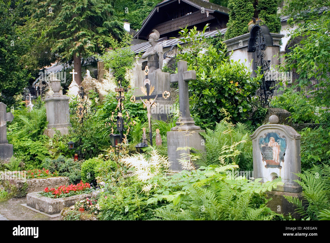 St Peter's Cemetery Stock Photo - Alamy