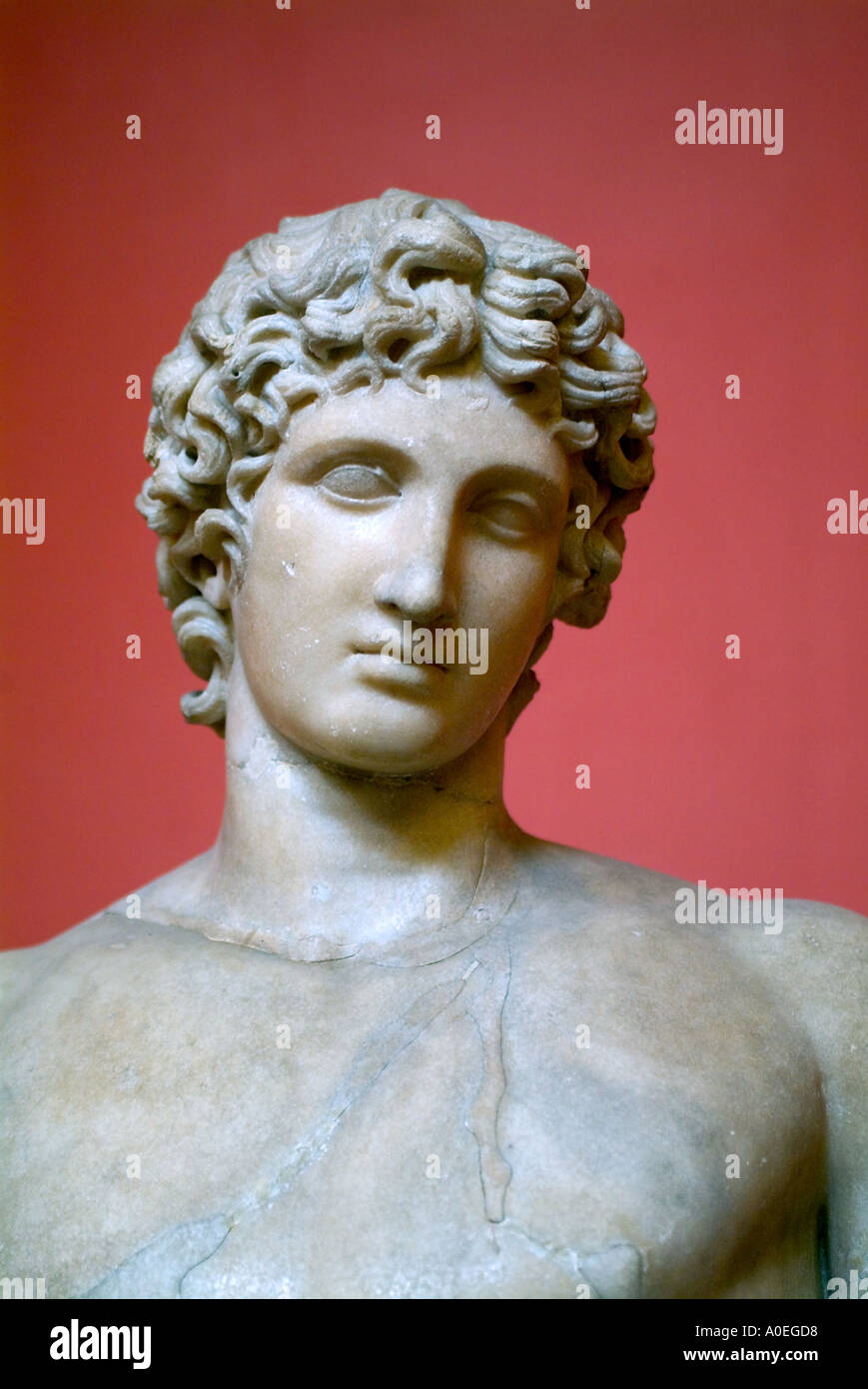 Laurel wreath roman bust hi-res stock photography and images - Alamy