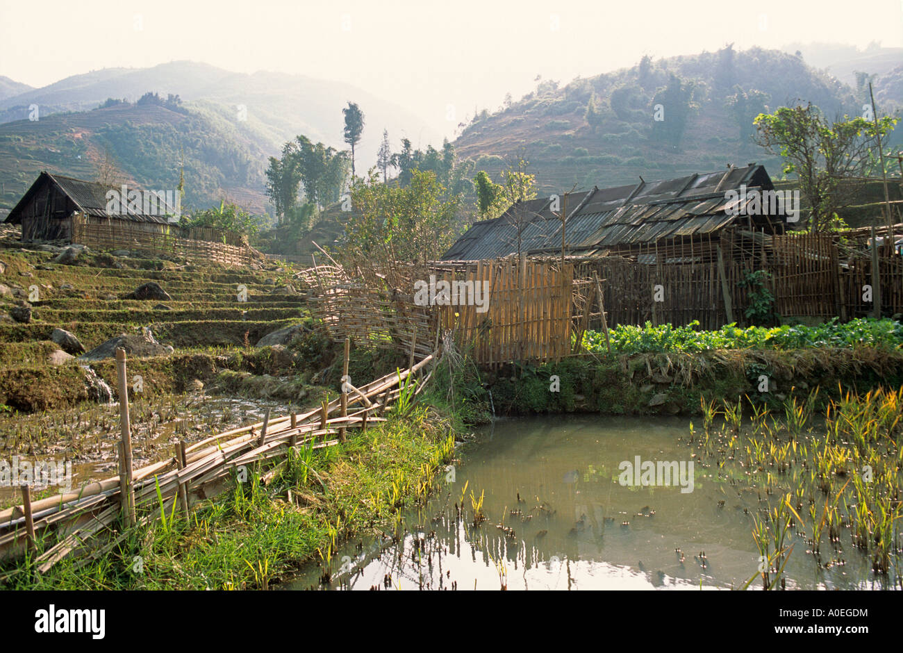 Muong village hi-res stock photography and images - Alamy