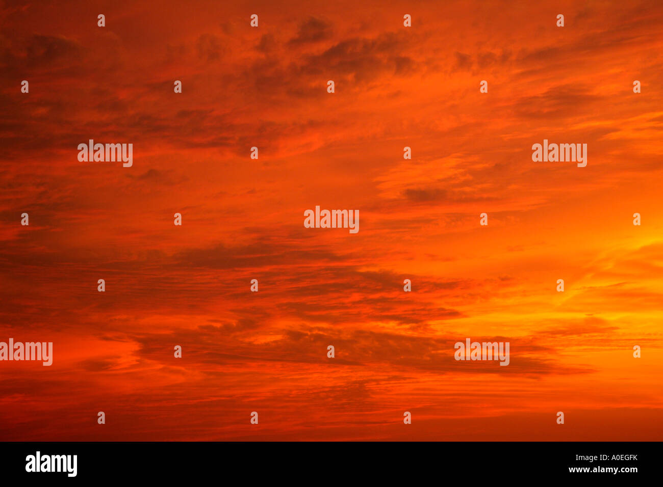 Vivid orange sky sunset on hi-res stock photography and images - Alamy