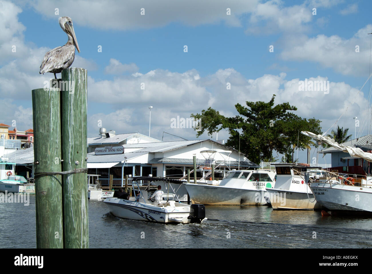 Naples Florida USA Waterfront boating activity in this popular seaside ...