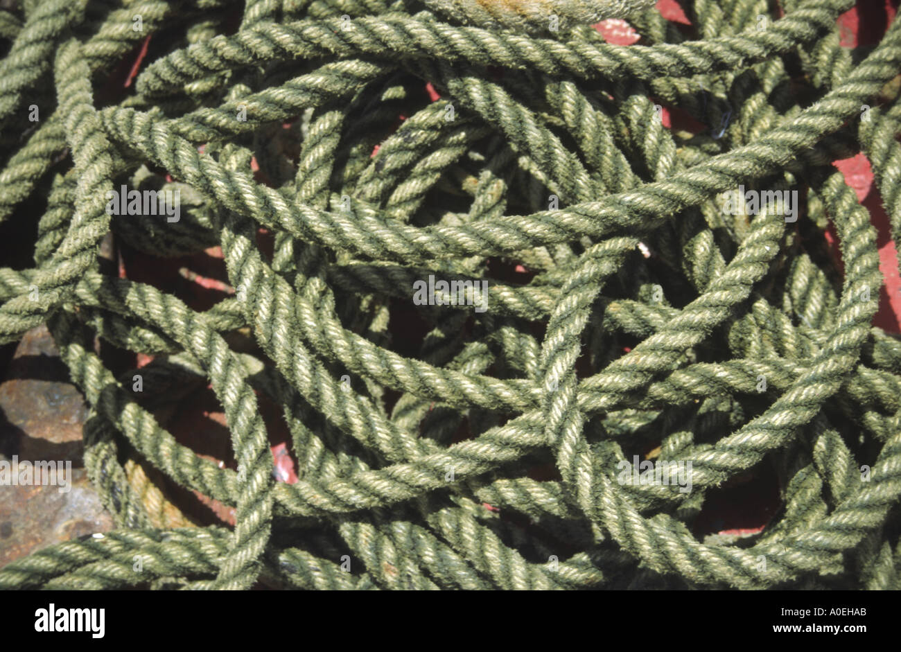 Tangled structures hi-res stock photography and images - Alamy