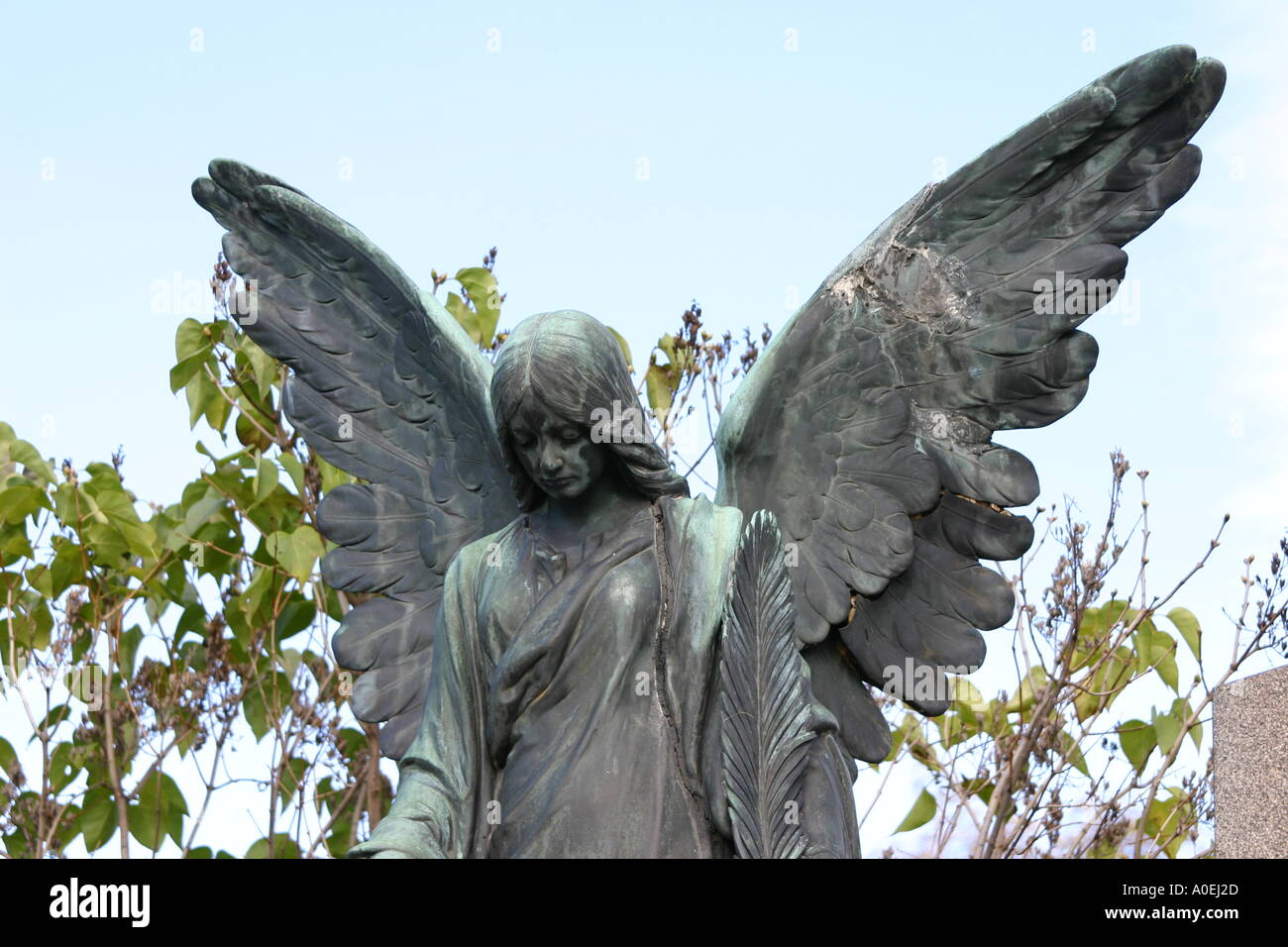 angel with wings Stock Photo - Alamy