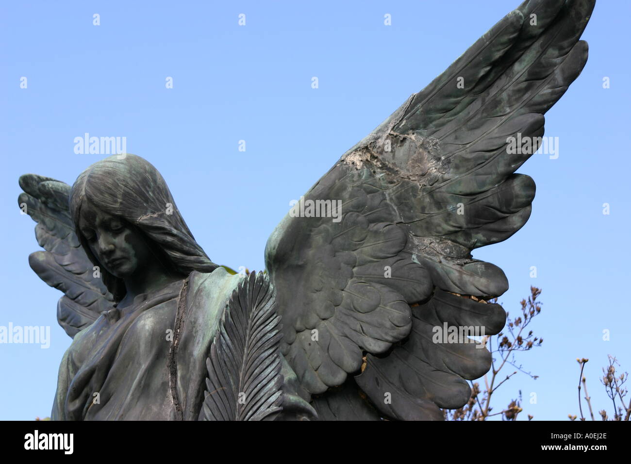 angel with wings Stock Photo - Alamy
