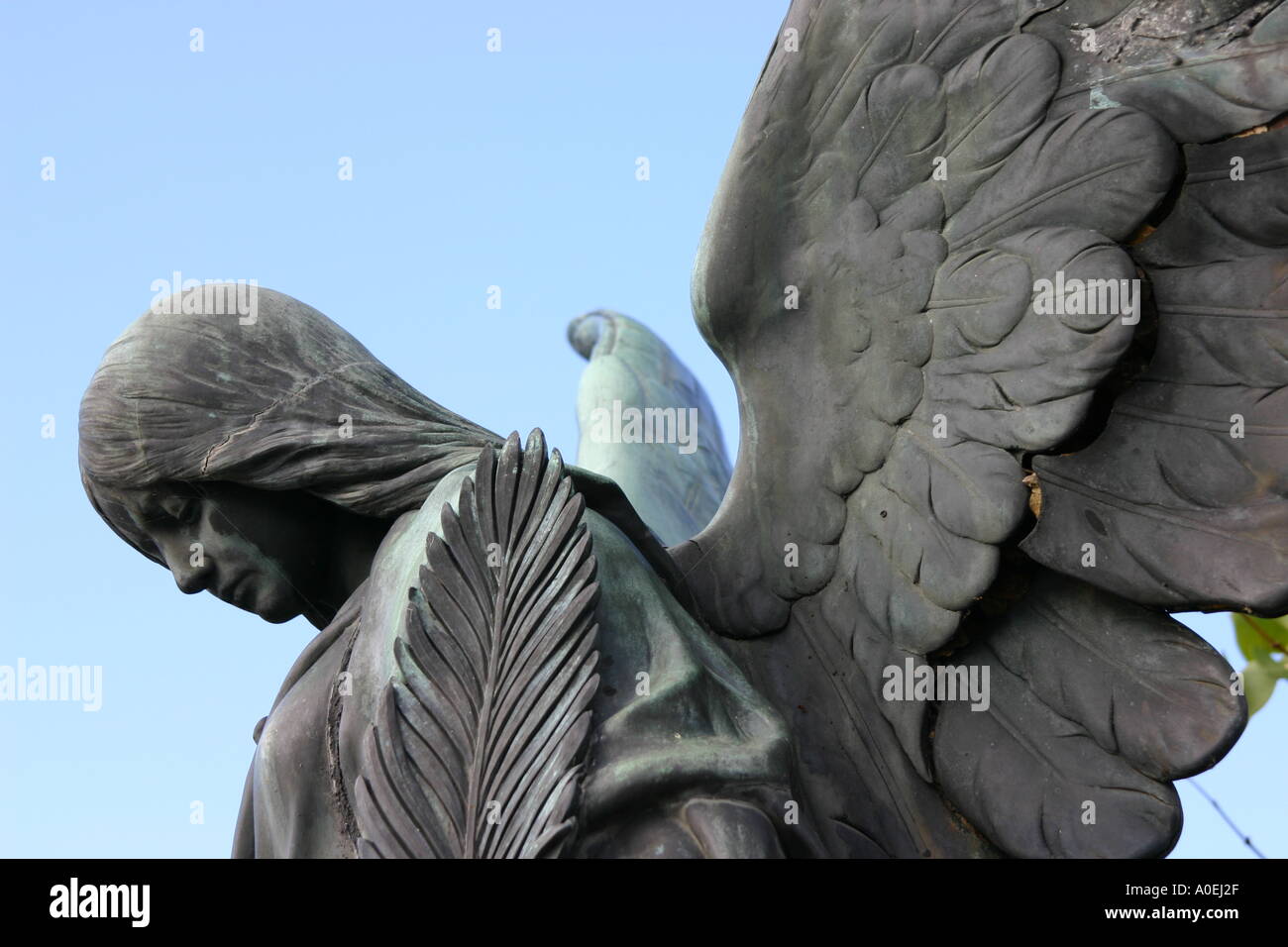 angel with wings Stock Photo - Alamy