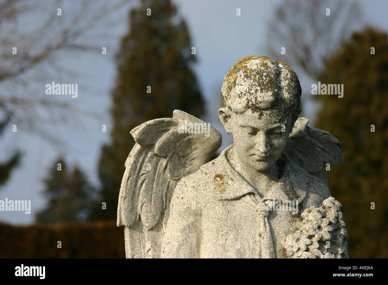 Angel body part hi-res stock photography and images - Alamy