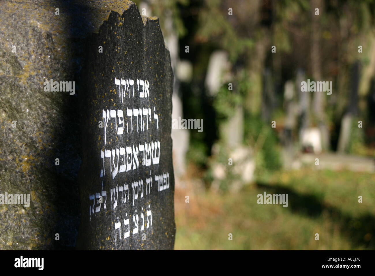 Gravestone jewish cemetery vienna austria hi-res stock photography and ...