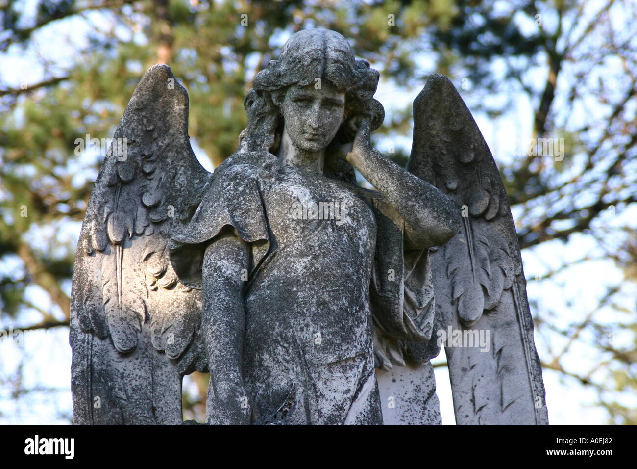 angel with wings Stock Photo - Alamy