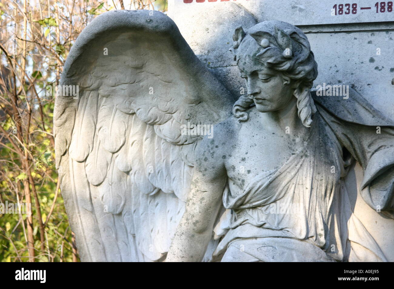 angel with wings Stock Photo - Alamy