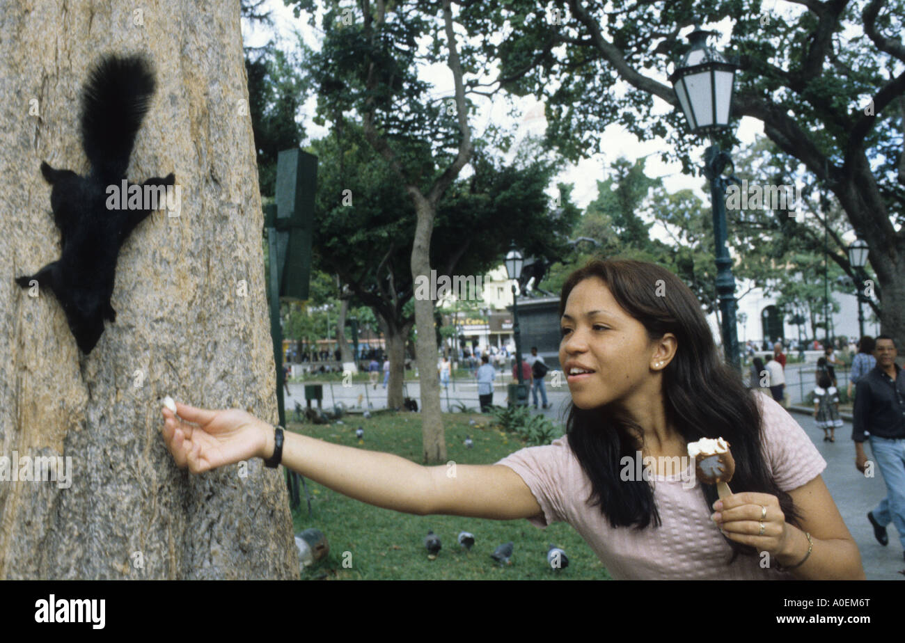 Feeding Black Squirrel Plaza Bolivar Caracas Venezuela Stock Photo - Alamy