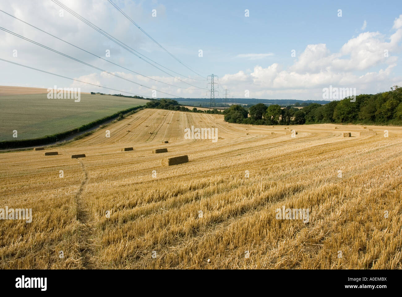 Cut in field hi-res stock photography and images - Alamy