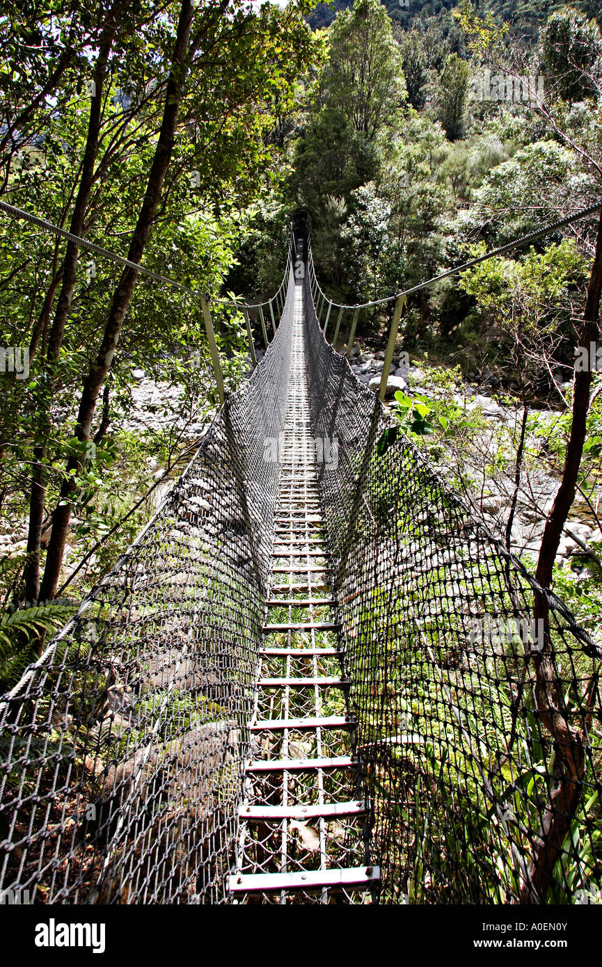 Swing Bridge, Kauaeranga Valley, North Island, New Zealand Stock Photo ...