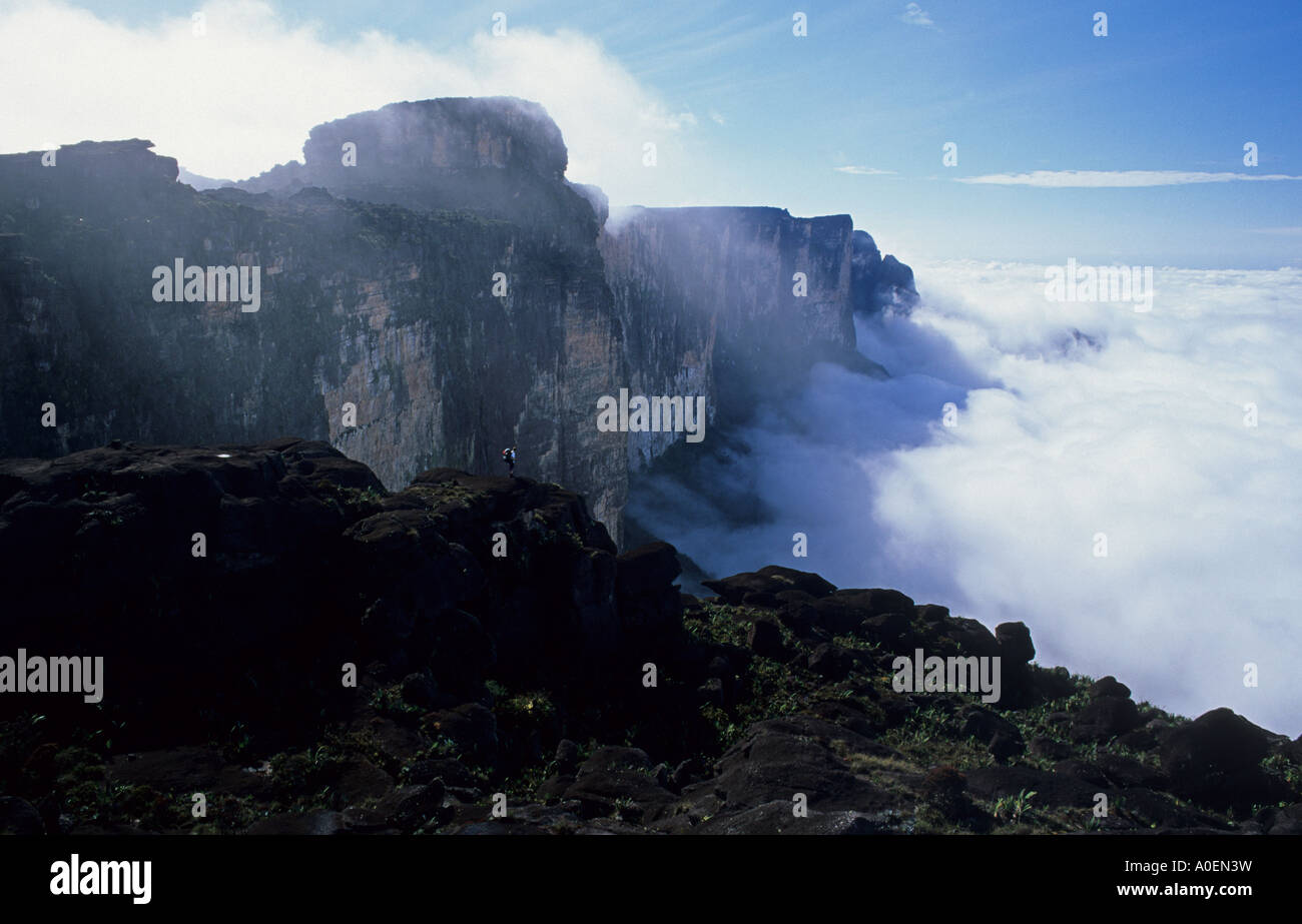Roraima summit hi-res stock photography and images - Alamy