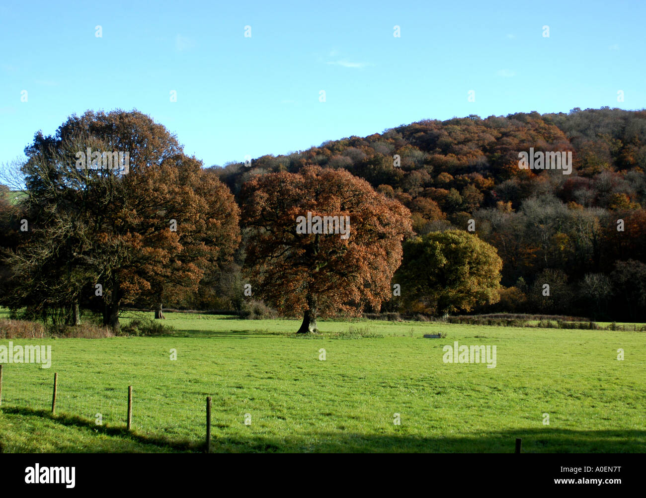 Autumn colour and early morning sunshine add a late season splash of ...