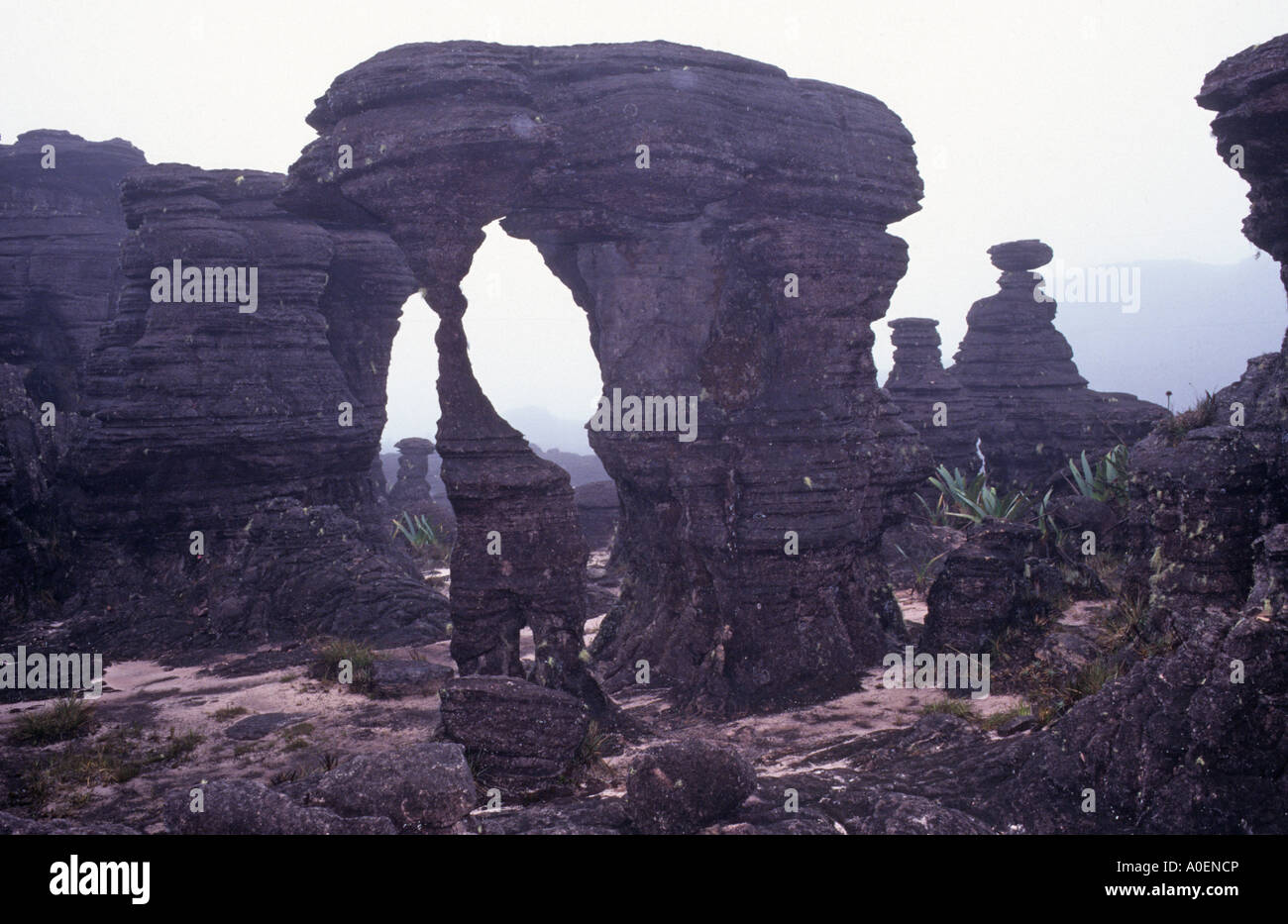 Rock Formations on Summit of Roraima Venezuela Stock Photo - Alamy