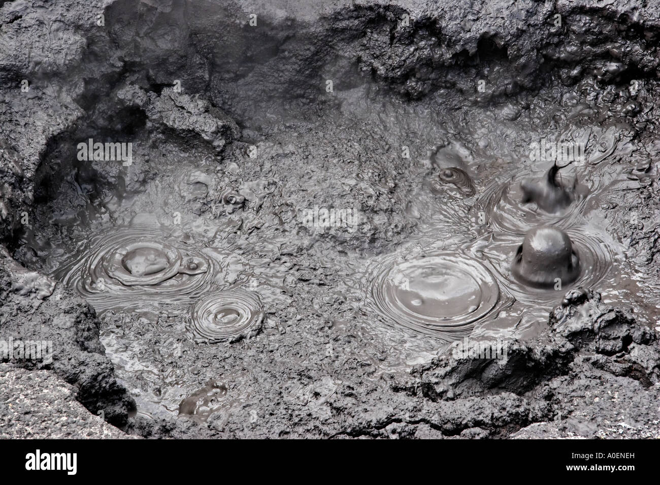 Boiling mud, Rotorua, North Island, New Zealand Stock Photo - Alamy