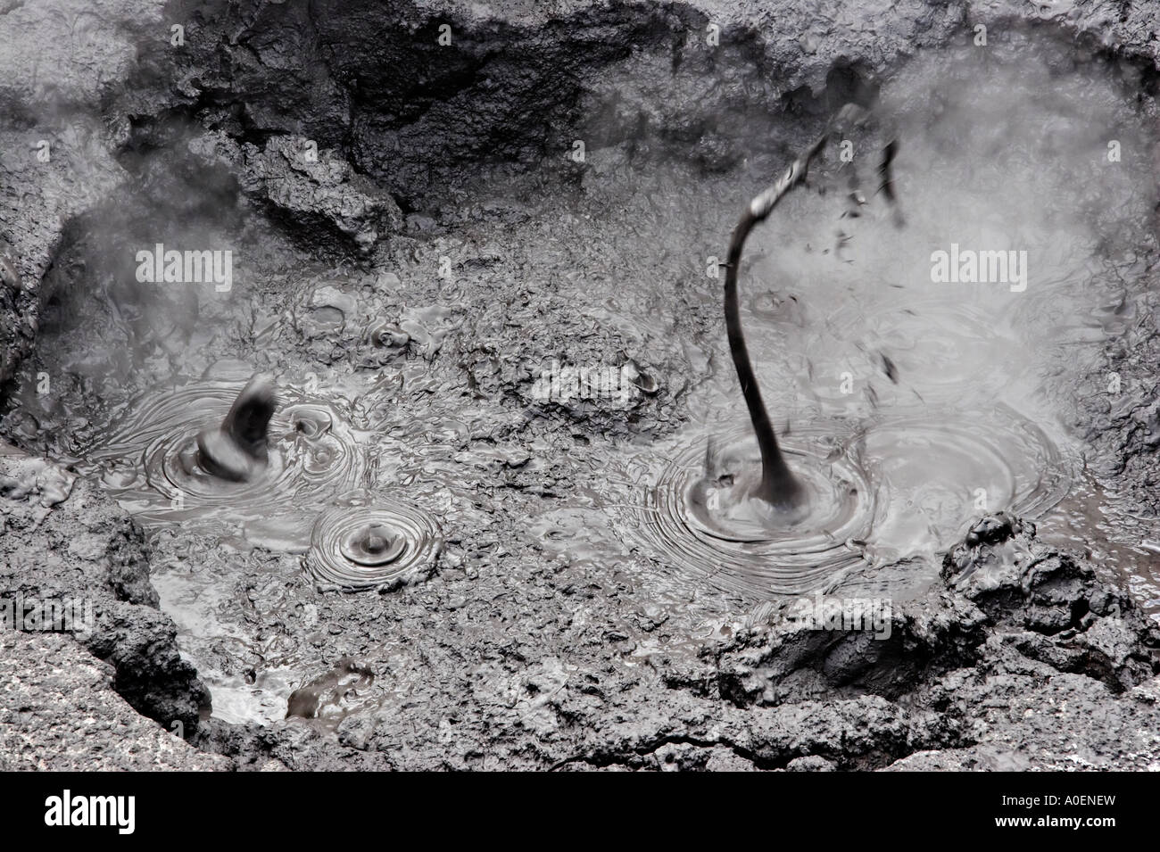 Boiling mud, Rotorua, North Island, New Zealand Stock Photo - Alamy