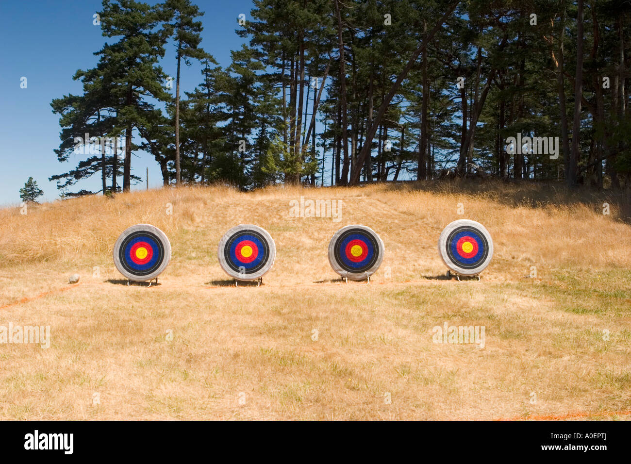 Four archery targets are set up on an archery range at a summer camp ...
