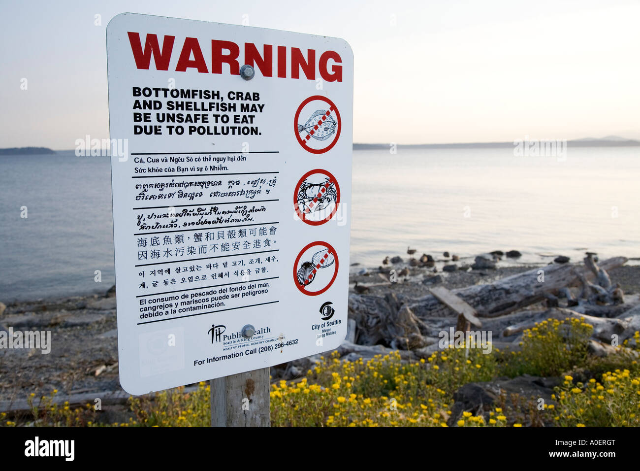 Sign for unsafe to eat seafood on shore Seattle Washington state USA ...
