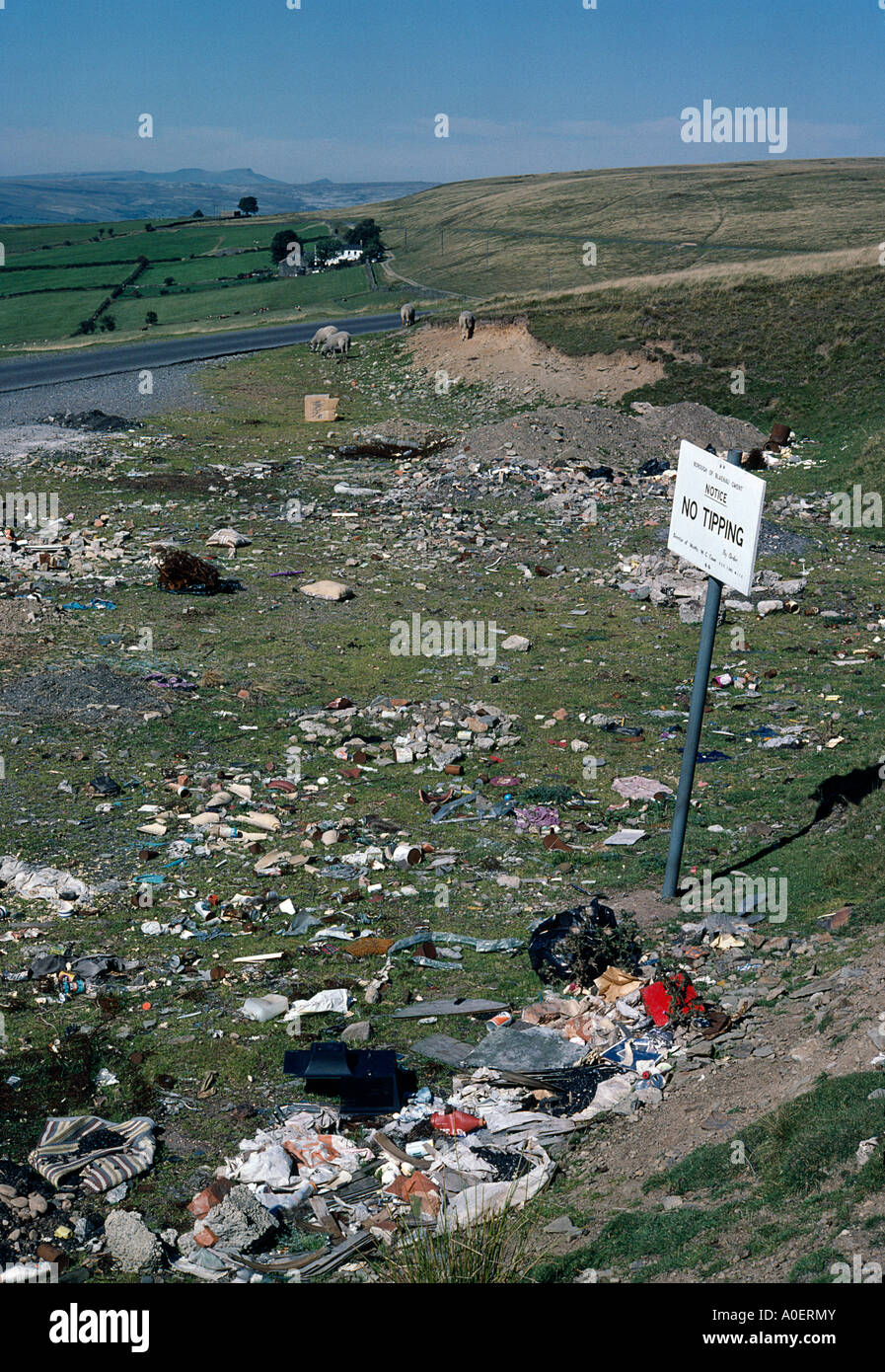 Tipped in hi-res stock photography and images - Alamy