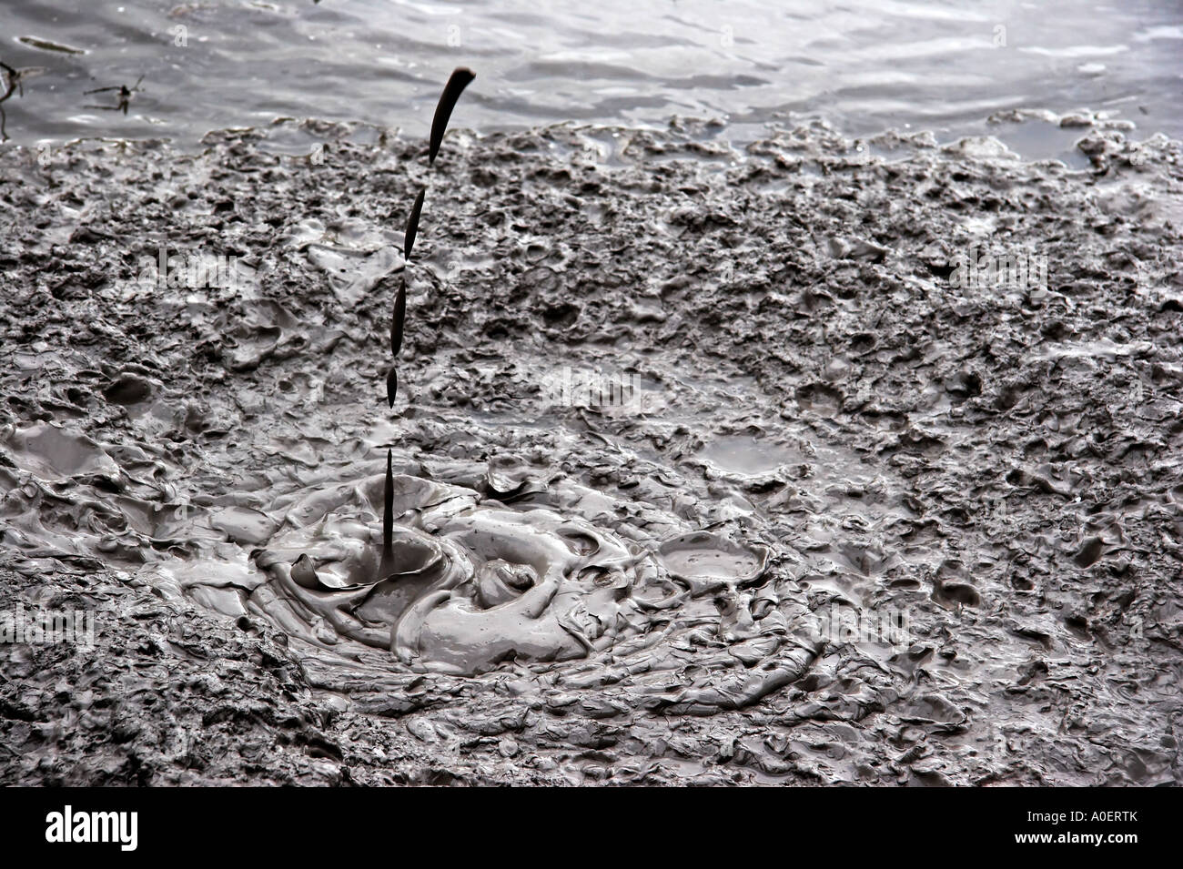Hot mud pools, North Island, New Zealand Stock Photo - Alamy