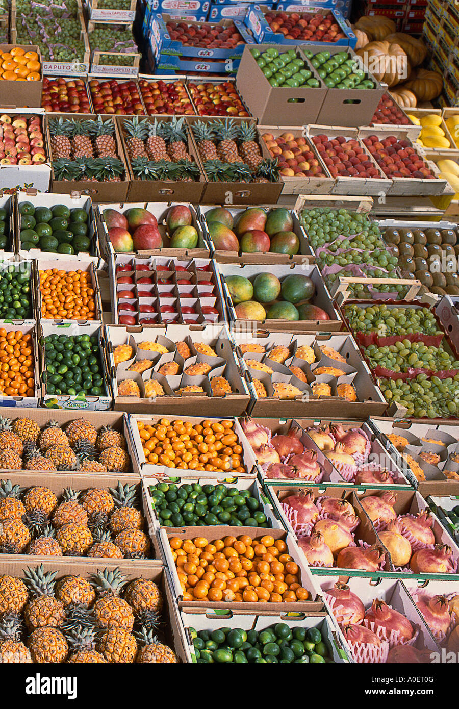 SELECTION OF EXOTIC FRUIT ON PALLETS IN A MARKET IN HOLLAND Stock Photo ...