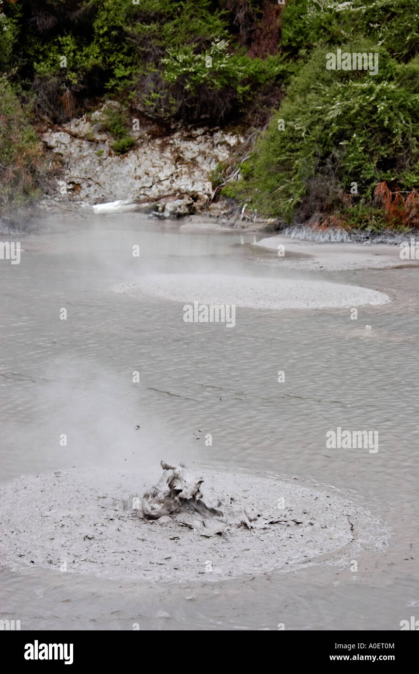 Hot mud pools, North Island, New Zealand Stock Photo - Alamy