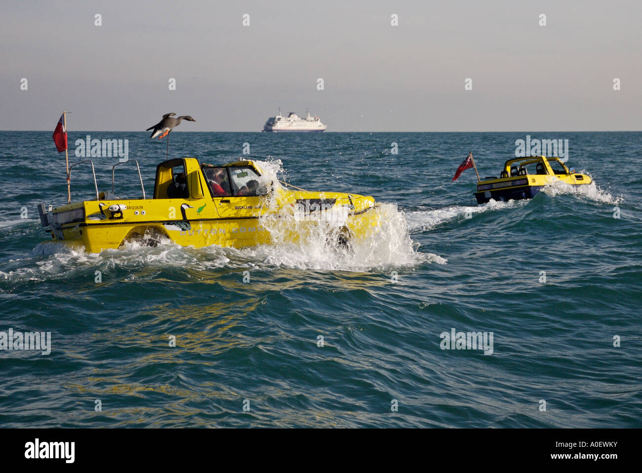 Dutton cars hi-res stock photography and images - Alamy