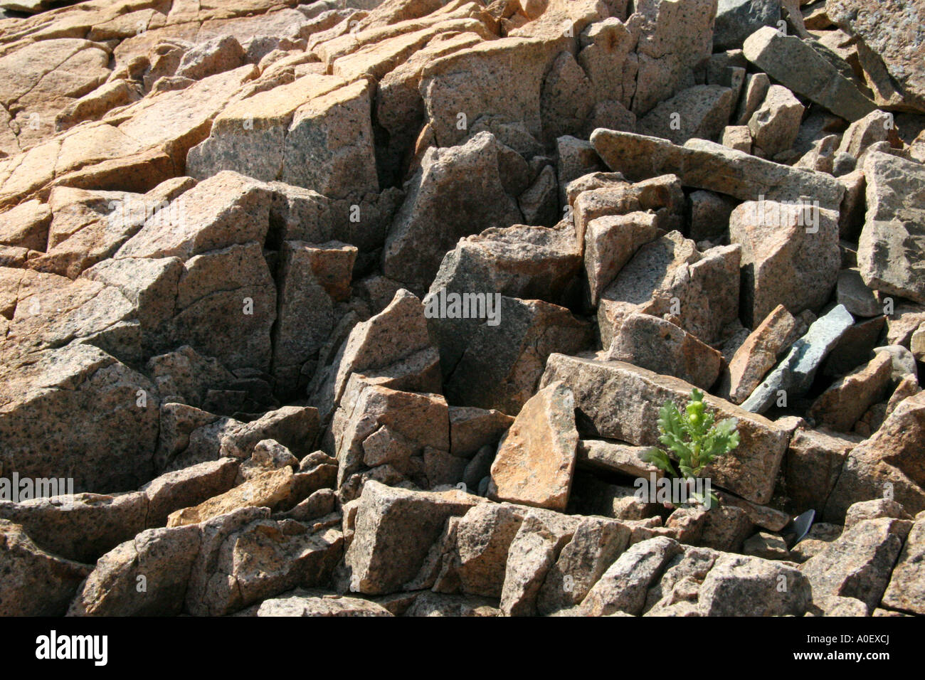 Shoreline rocks crumbling with visible cracks Stock Photo - Alamy