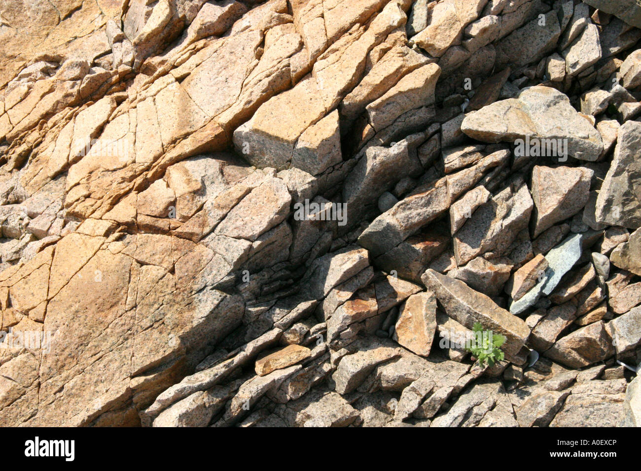 Shoreline rocks crumbling with visible cracks Stock Photo - Alamy