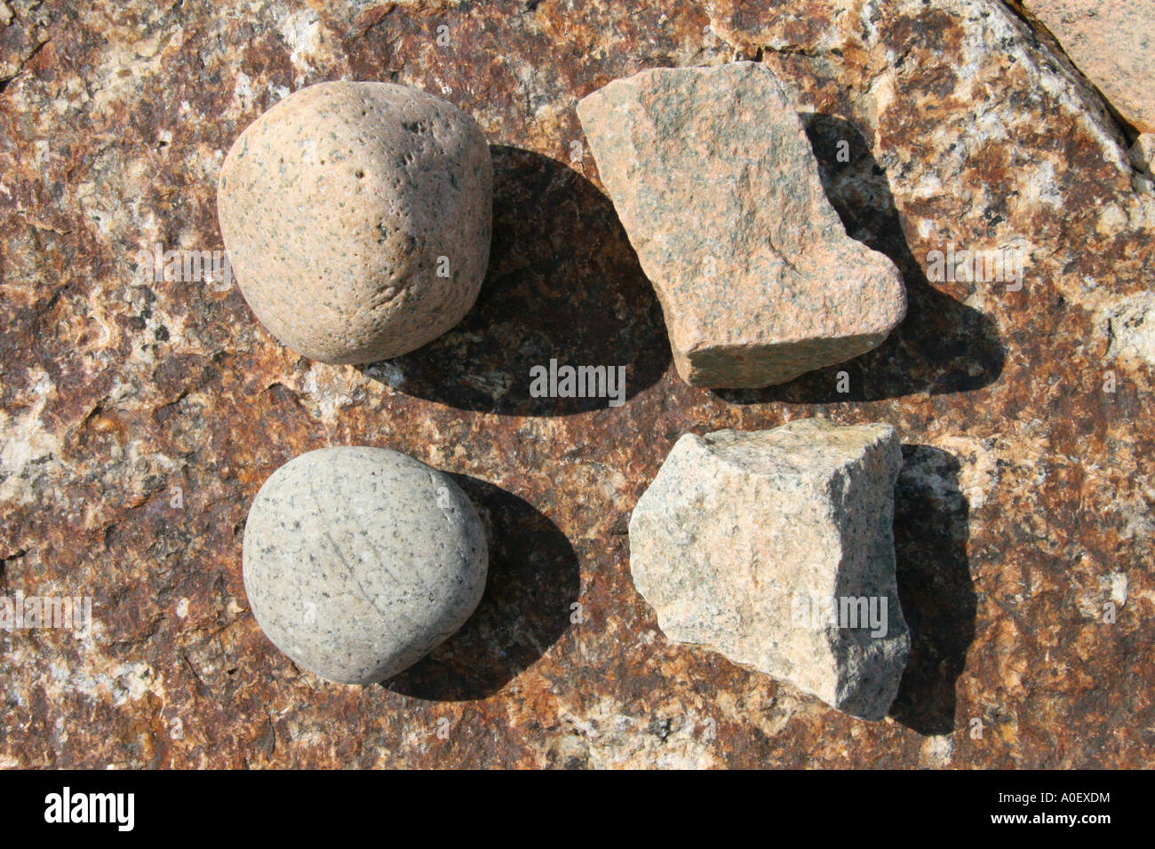 Rocks from the same beach -- the smooth ones from down by the surf, the ...