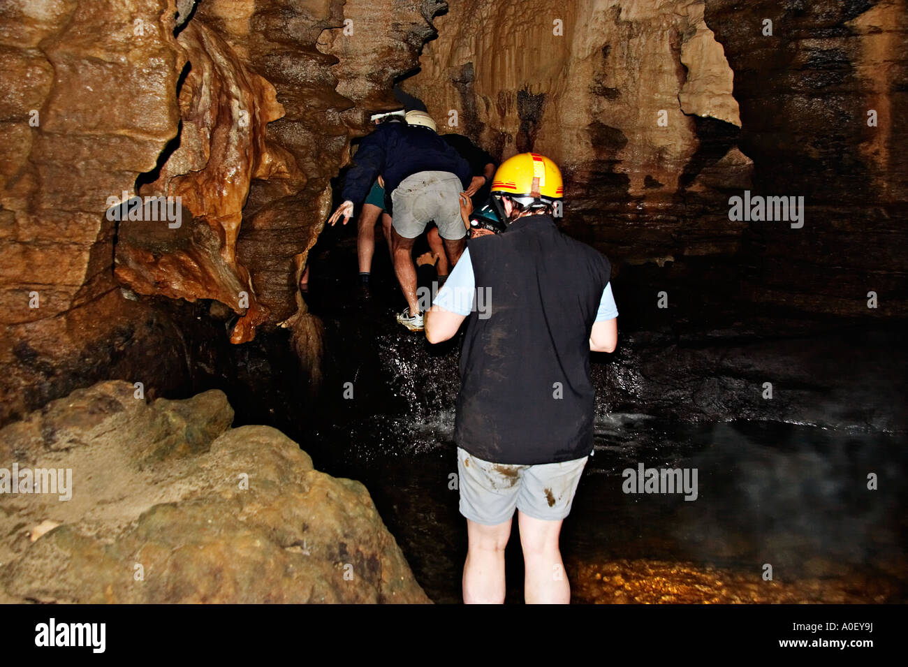 Waitomo glow worm caves hi-res stock photography and images - Alamy